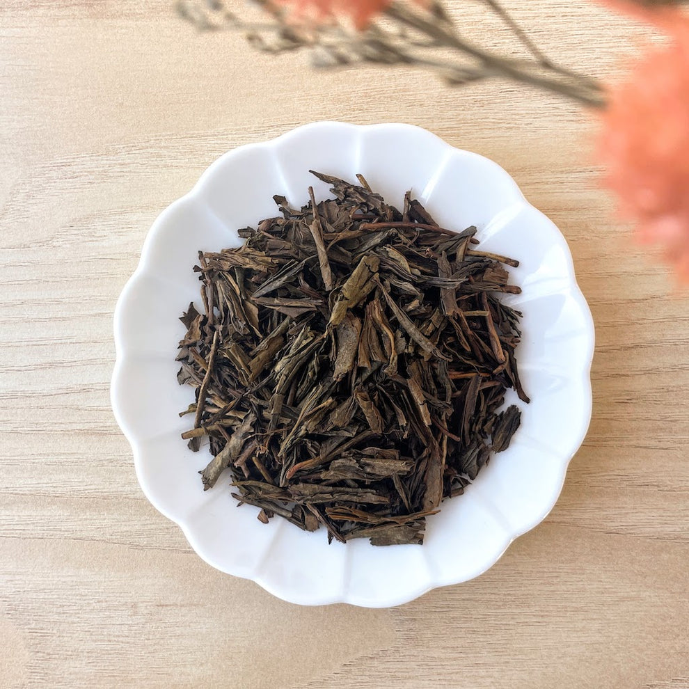 Hojicha Classic – Hojicha Co.