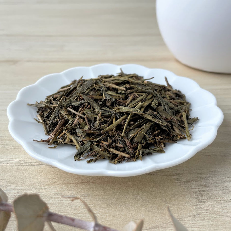 Hojicha – Hojicha Co.